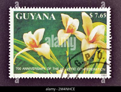 Timbre-poste annulé imprimé par le Guyana, qui montre la peinture de la ...