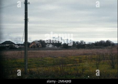 ORIKHIV, UKRAINE - 30 DÉCEMBRE 2022 - On voit des chiens errants dans ...
