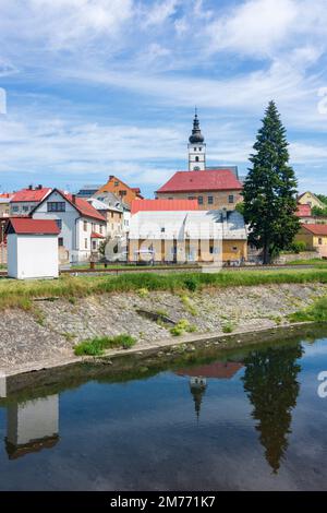 Pribor (Freiberg à Mähren) : rivière Lubina, vieille ville, église de ...