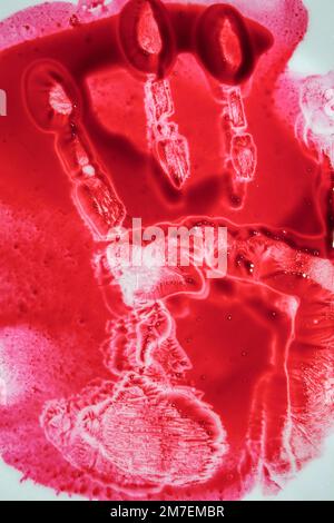 L'empreinte d'une main droite en rouge, peut-être du sang , sur fond ...