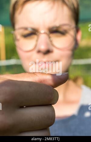 PERRINE DOUDIN, HELIXINE, ÉLEVEUR D'ESCARGOTS, PRODUCTEUR D'ESCARGOTS ...