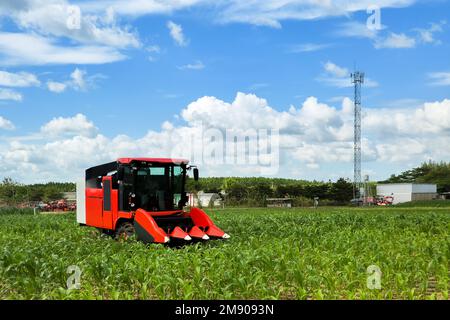 Le mini-tracteur de moissonneuse-batteuse à maïs rouge avec commande ...