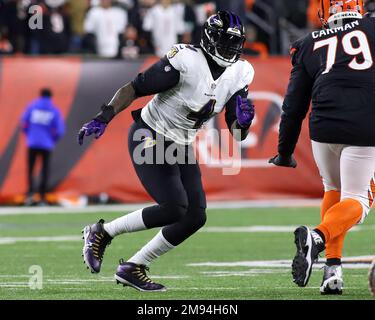 Cincinnati, Ohio, États-Unis. 15 janvier 2023: Baltimore Ravens QB Tyler Huntley (haut) fumerds ...