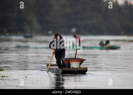 A farmer uses a pole to move his canoe to his floating farm known as ...