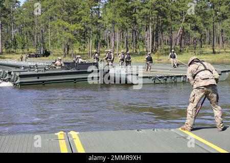 Les soldats de l'armée américaine affectés à la Multi-Role Bridge ...