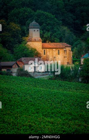 France, Pyrénées Atlantiques, Béarn, Dieusse, vue sur une chapelle ...
