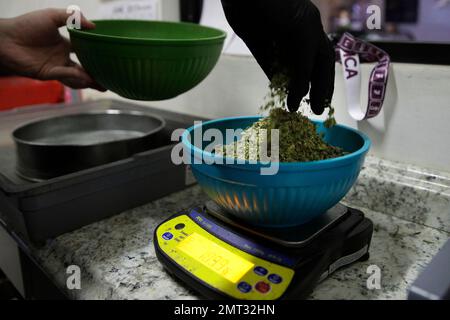 Les articulations avec de la marijuana médicale dans les mains d'une ...
