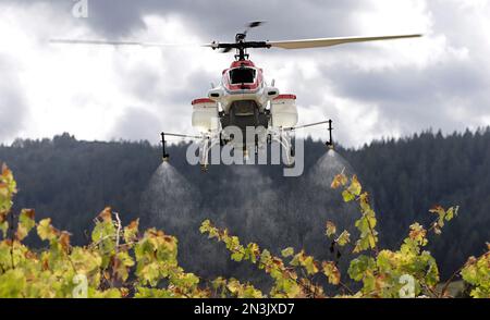 Un drone RMax Yamaha la pulvérisation en action Photo Stock - Alamy