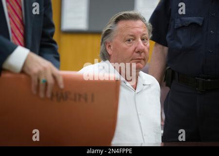 Richard Marini attends his arraignment at Manhattan Supreme Court ...