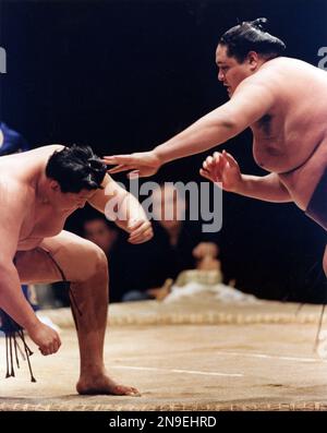 Finale du tournoi de lutte sumo de Hong Kong au Hong Kong Coliseum ...