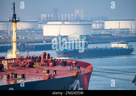 Le pétrolier de pétrole brut HOJO, dans le port maritime de Rotterdam ...