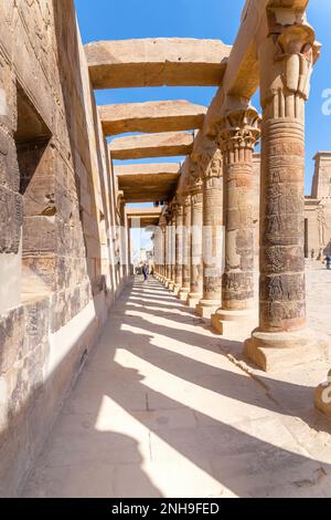 Assouan, Égypte; 14 février 2023 - Une rangée de colonnes au temple de ...