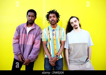 Jaden Wiggins, 20, (left), Dylan Wiggins, 23, and Martin Rodrigues, 20 ...