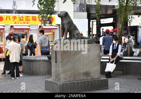 A picture shows a statue of Chuken Hachiko (Hachi the loyal dog) near ...