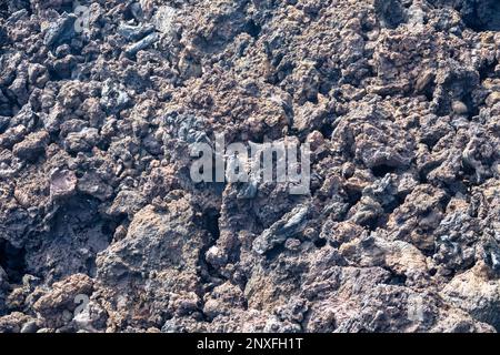 Une variété de formes de lave solidifiée au basalte (clinker, bloc-lave ...