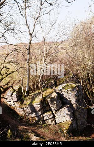 Mars 2023 - formations rocheuses dans les collines, des Mendips à Ubly ...