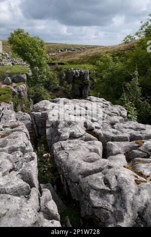 Affleurements de calcaire montrant des modèles typiques d'érosion de ...