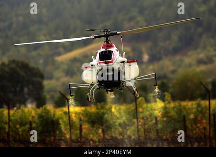 Un drone RMax Yamaha la pulvérisation en action Photo Stock - Alamy