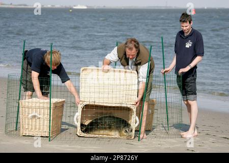 Walter Schumann, von links, Tim Fetting und Peter Lienau von der ...