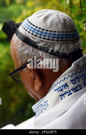 Un juif portant Tait et Tefillin pendant les prières de Shacharit ...
