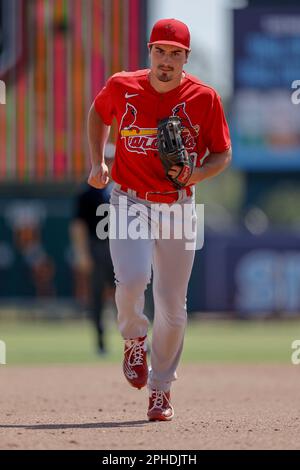 27 mars 2023; Sarasota FL États-Unis; Baltimore Orioles départ lanceur ...