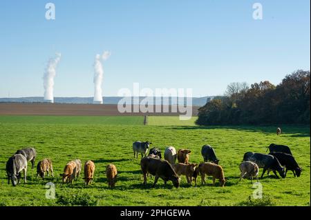 Vue sur la cheminée de la centrale électrique de Chooz depuis les ...