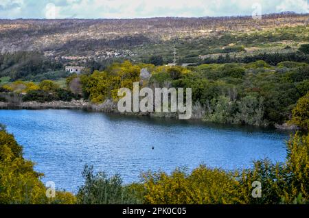 Tunis, Tunisie. 4th avril 2023. Bizerte, Tunisie, 04 avril 2023 : une ...