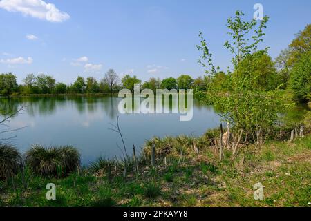 Barrage de Längenbach près de Goßmannsdorf dans le parc naturel de ...