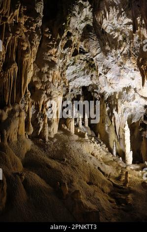 La grotte de Postojna est un complexe karstique en Slovénie, c'est la ...