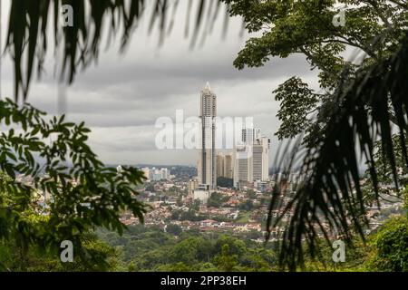 Une partie de la ville de Panama est vue depuis le parc naturel ...