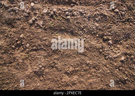 La texture de champ de tourbe de sol écrasée brune peut être utilisée ...