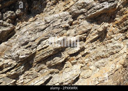 Le Flysch est une série de roches sédimentaires marines qui sont ...