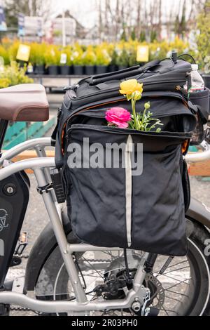 Everett WA Etats-Unis 15 avril 2023: Rad Power eBike avec un Burley ...