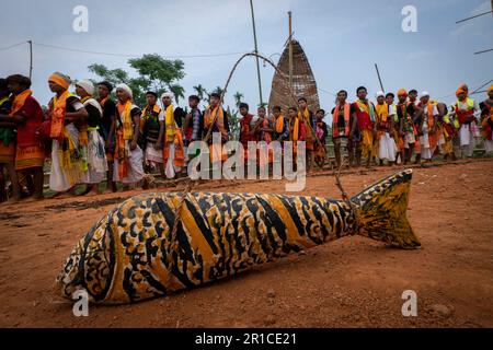 Tiwa tribal people in traditional attire arrive to participate in ...