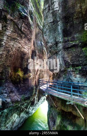 Promenade en bordure de falaise le long de la rivière Aare à travers la ...
