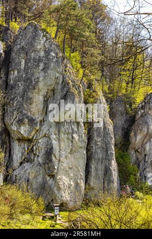 Labajowa et Lipna Sciana roche calcaire et mur d'escalade dans la ...