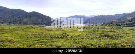 La forêt primitive de mangrove d'Amami (îles Amami, sud du Japon) est ...