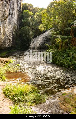 Cascata da Ronda (cascade de Ronda) au parc naturel municipal de Ronda ...