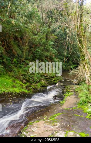 Cascata da Ronda (cascade de Ronda) au parc naturel municipal de Ronda ...