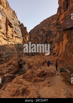 Randonnée à travers le célèbre canyon d'Amtoudi dans l'anti-Atlas, au ...