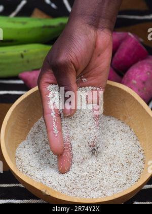 Grain de teff d'Afrique, farine alternative sans gluten pour la cuisson ...