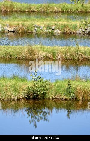 Le Traunbach dans le parc national de Hunsrueck-Hochwald avec une ...