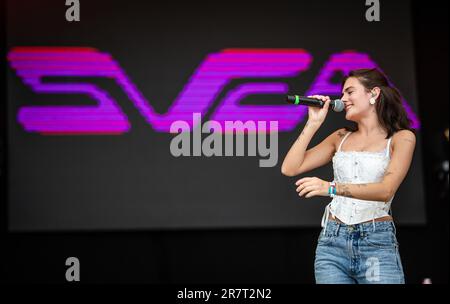 Neuhausen OB Eck, Allemagne. 17th juin 2023. Le chanteur Dylan joue au ...