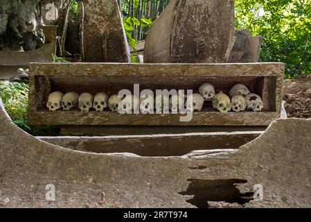 Crânes dans un cercueil appelé Erong, exposés dans la spectaculaire ...