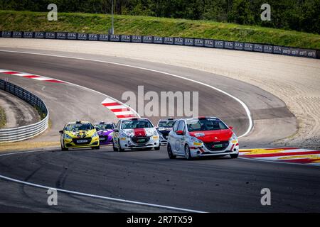 212 COLIN Mathieu Ropars Racing Team, Peugeot 208 RC, action, lors de ...