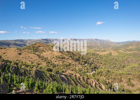 Le Comarca Priorat est une célèbre région viticole où le prestigieux ...