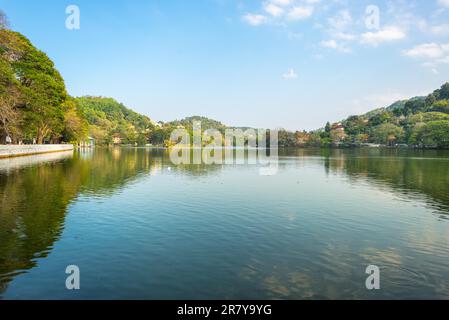 Le lac de Kandy est un plan d'eau artificiel au coeur de la ville de ...