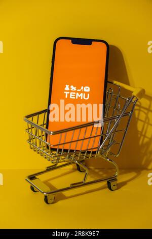 Gdansk, Pologne - Mars 2023 icône de l'application Temu à l'écran d'un ...