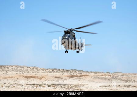 Un hélicoptère Puma du 84 Squadron, basé à la RAF Akrotiri à Chypre ...