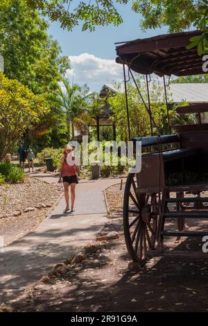 Une vieille calèche tirée par un cheval à une ferme près de la route de ...